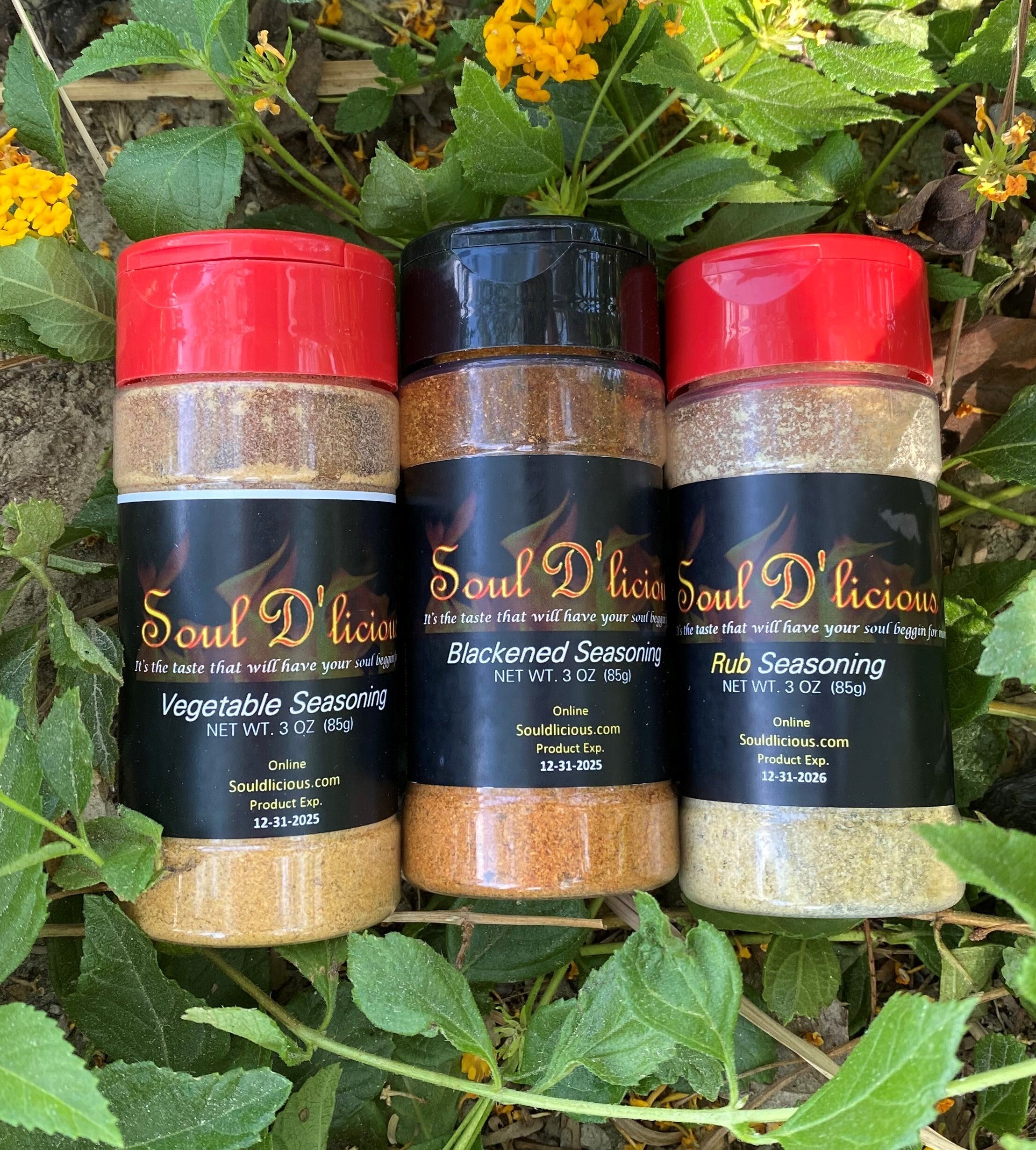 Soul D'licious Seasoning Gift Pack (Regular) | Soul D' Licious ...